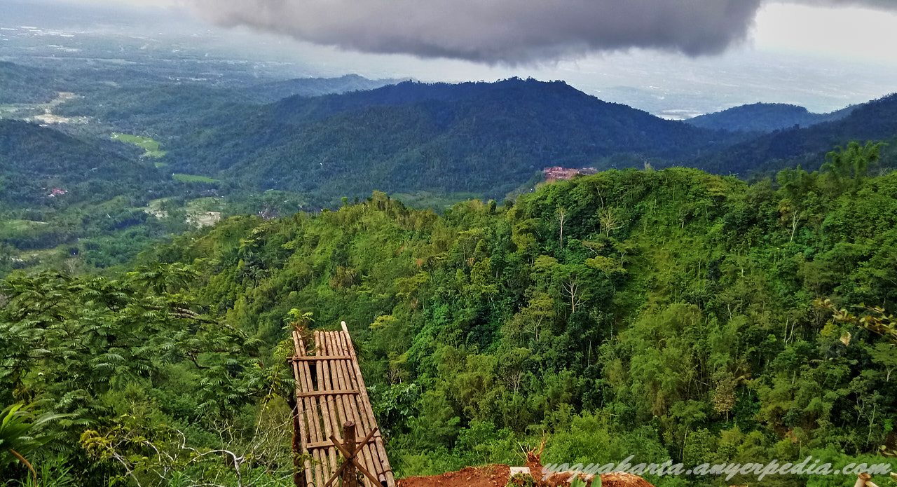 Kebun Teh Nglinggo Jogja, Panorama Indah Dari Bukit Menoreh Kulonprogo ...
